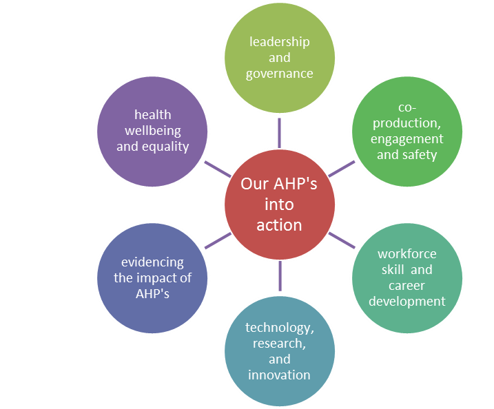 Leeds and York Partnership NHS Foundation Trust -AHP Diagram